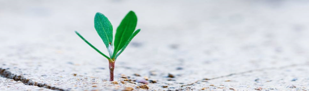 Innovation Drives Growth - b2match